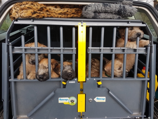 Untitled Document [www.lakkas.se]